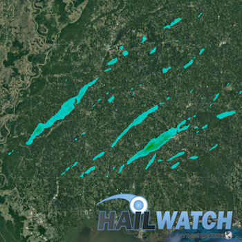 Hail Report Hattiesburg, MS | January 20, 2017 | HailWATCH